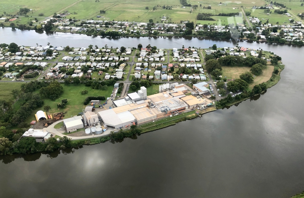 Nestlé CEO Made One Ruthless Decision That Has Workers Terrified ...