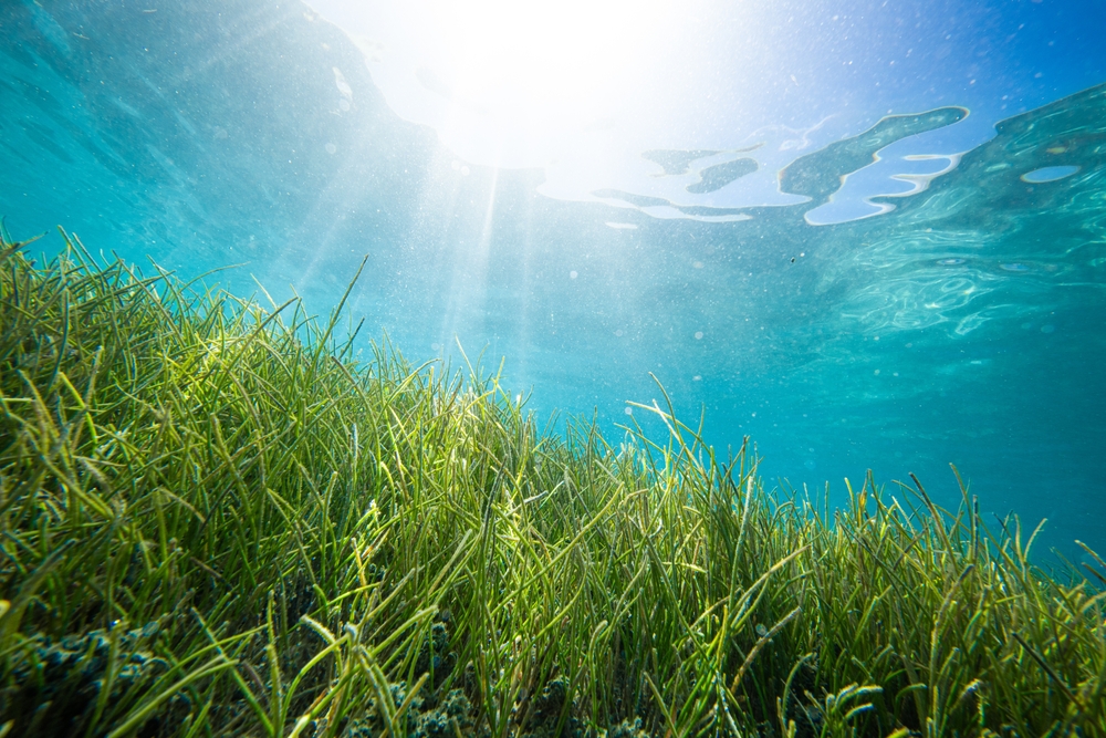 Colorado scientists just revealed one breakthrough that could save ...